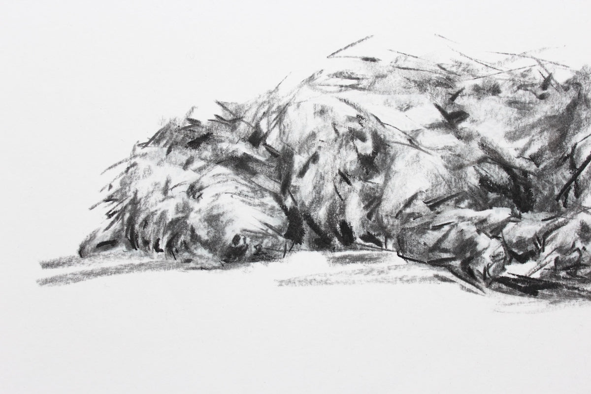 Sleeping Lurcher Charcoal sketch ORIGINAL drawing – PaintMyDog | Dog ...