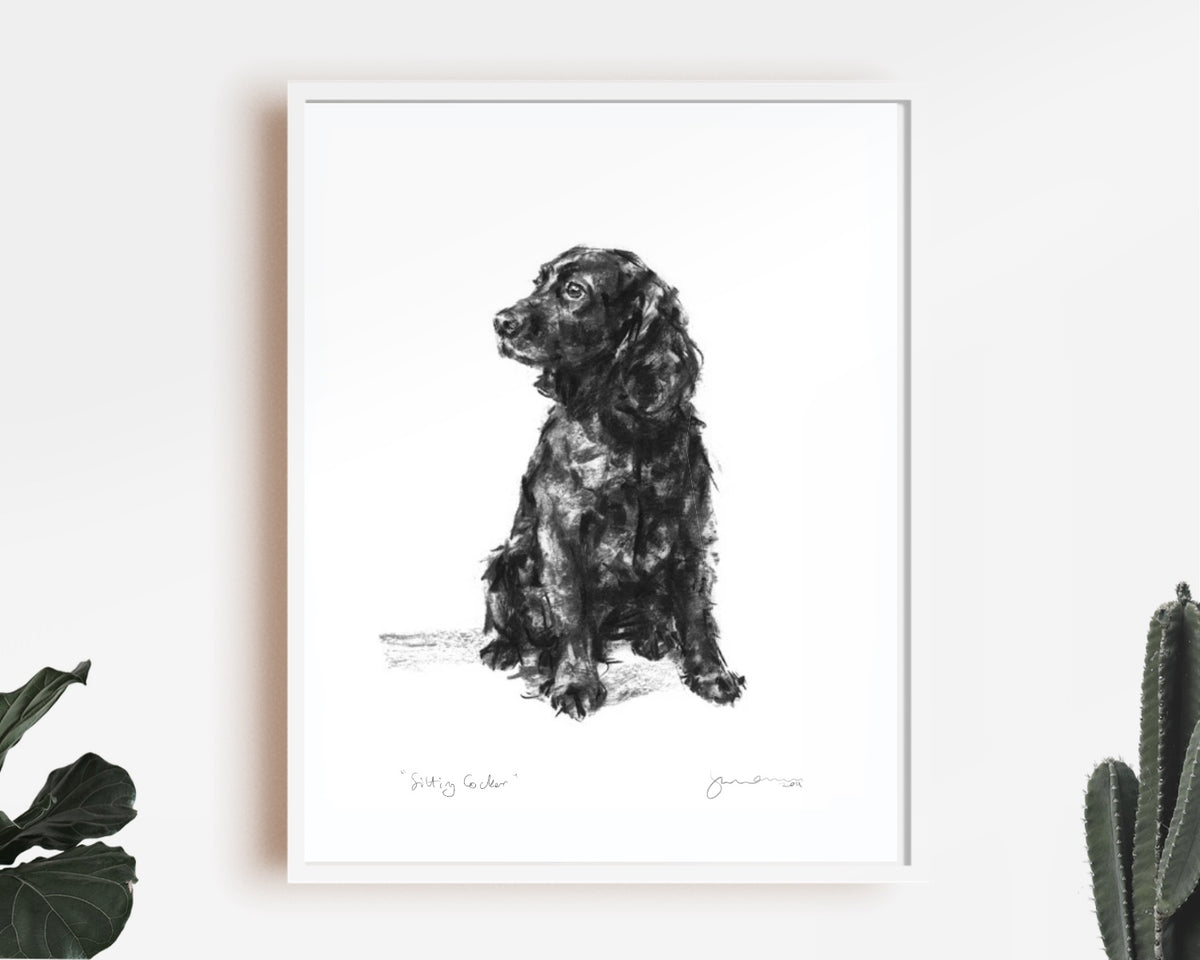 Sitting Cocker Spaniel Sketch Print - Charcoal sketch working cocker ...