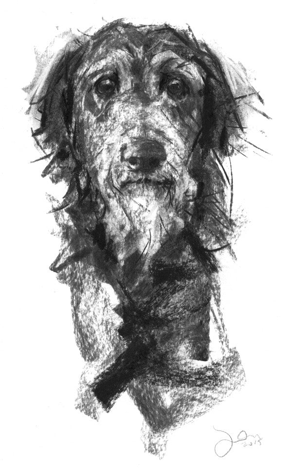 Lurcher - Charcoal sketch ORIGINAL – PaintMyDog | Dog Art ...