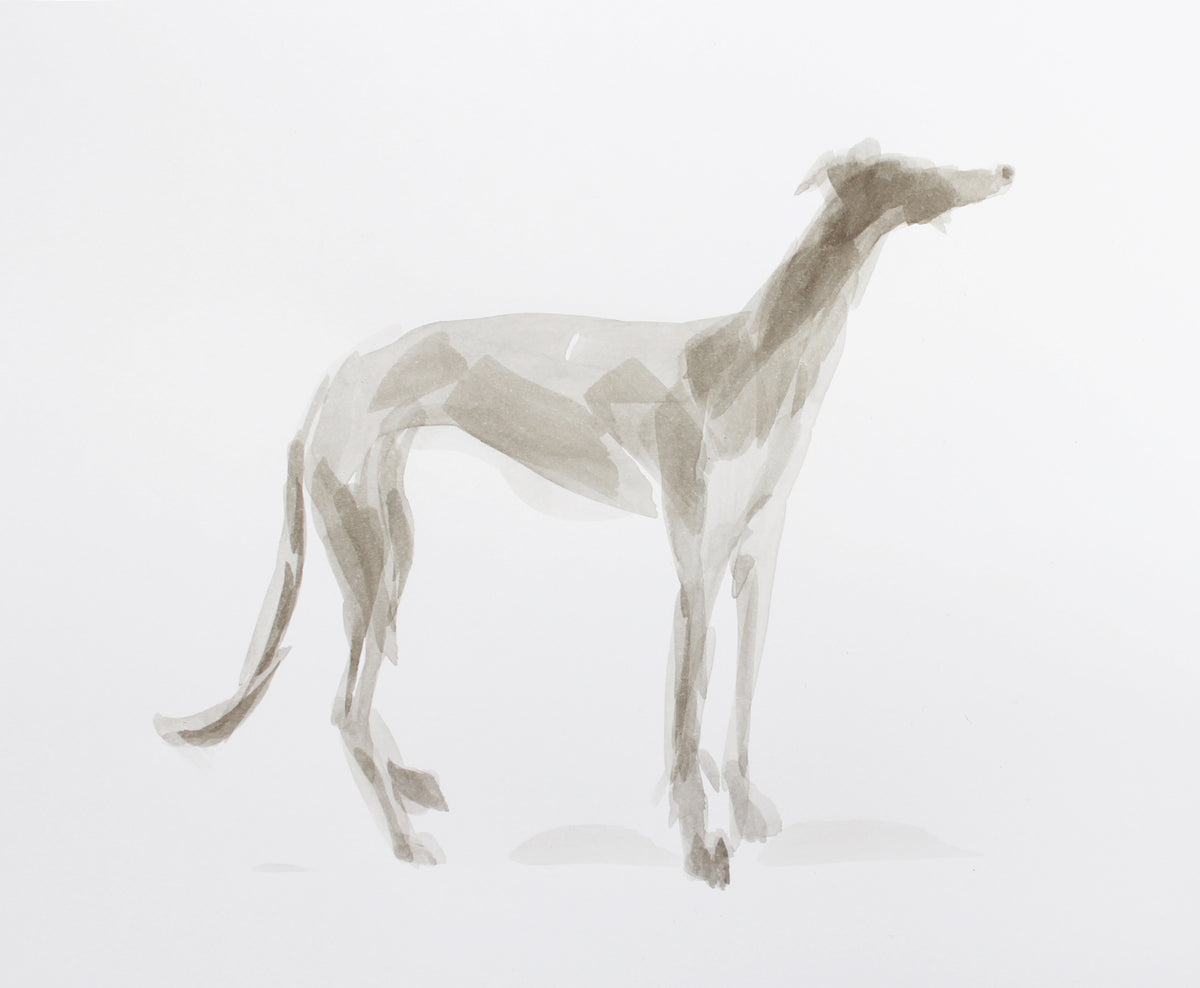 Lurcher greyhound ink and wash drawing - ORIGINAL dog drawing ...